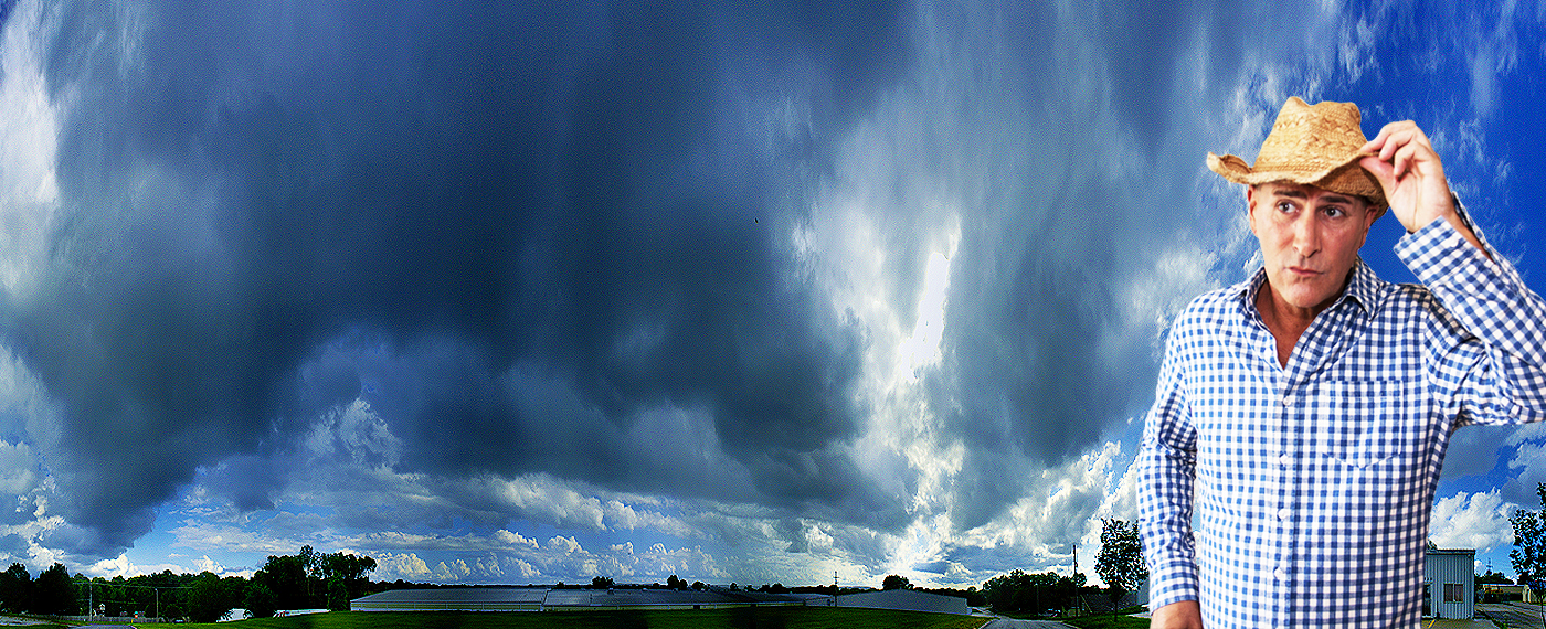 Images – Tony Bové