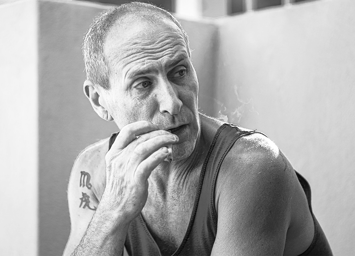 Images – Tony Bové